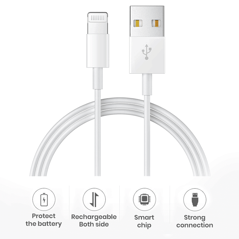 Apple iPhone 8PIN Charging Cord – Lifeartifacts